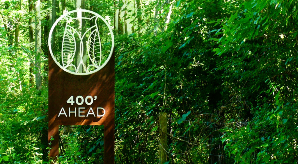 Role of Environmental Signage in Conscious Design